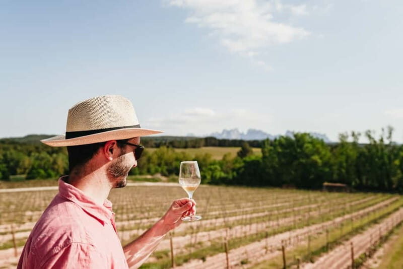 Barcelona: Montserrat Reduced Group & Optional Wine Tour - Authentic Experiences and Traveler Insights