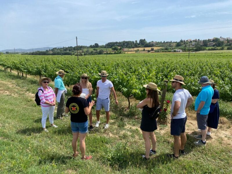 Barcelona: Montserrat with Winery Visit and Farmhouse Lunch - Final Thoughts