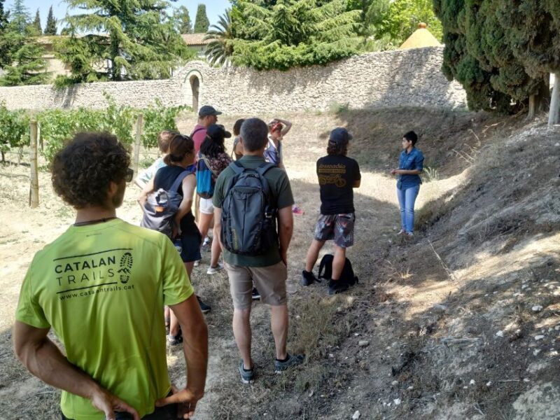 Barcelona: Montserrtat Hike and Winery Tour with Tasting - Who Should Consider This Tour?
