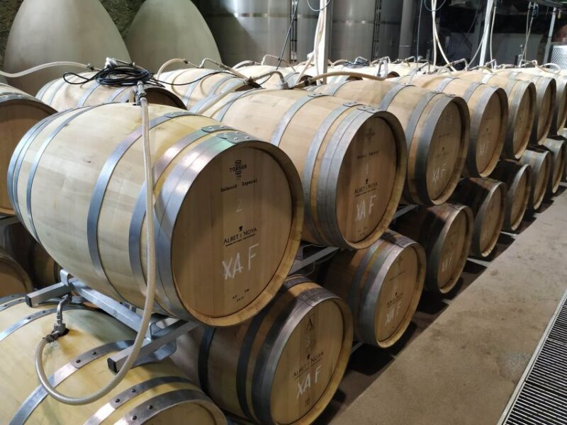 Barcelona: Montserrtat Hike and Winery Tour with Tasting - Frequently Asked Questions