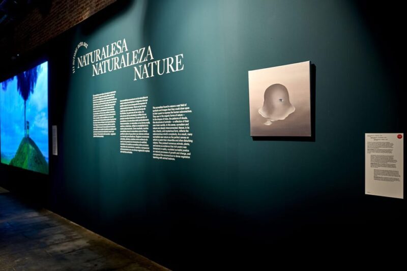 Barcelona: Museum NOU / SUR PLAY Exhibition Ticket - Key Points