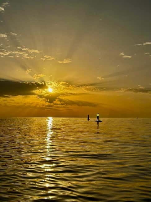 Barcelona: Paddleboard at sunrise. Inc.: teacher, photos/videos, material, equipment. - Discovering the Magic of Sunrise Paddleboarding in Barcelona