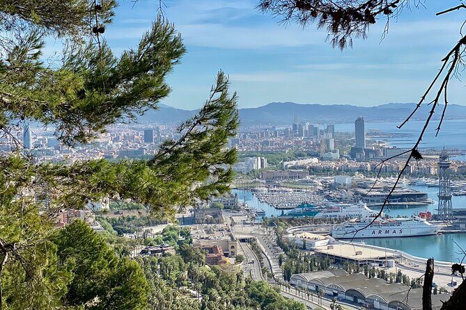 Barcelona Panoramic Walking Tour - Discover Montjuic - What the Reviews Reveal