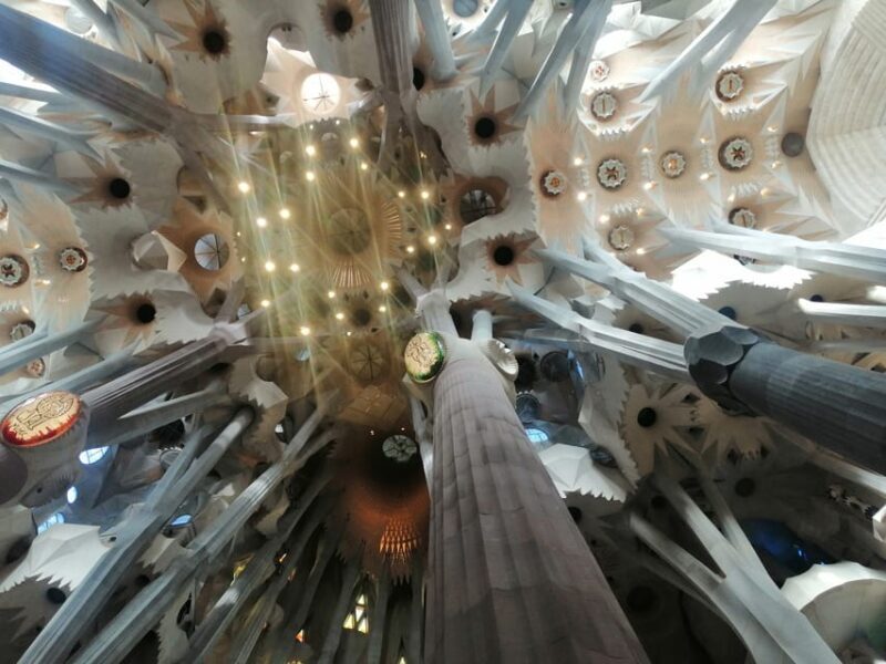 Barcelona: Park Güell Skip-the-Line Guided Tour - The Perfect Fit: Who Would Love This Tour?