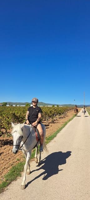 Barcelona: Penedès Vineyard Horseback Ride with Wine Tasting - The Value for Money: Breaking Down the Cost