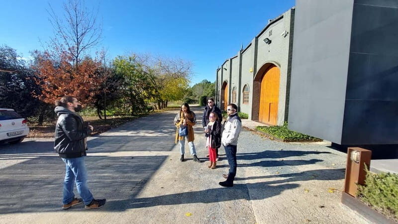 Barcelona: Penedes Wine Tasting Tour with Lunch - An In-Depth Look at the Penedes Wine Tasting Tour