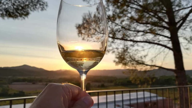 Barcelona: Penedes Wine Tasting Tour with Lunch - Authentic Experiences and Real Visitor Feedback