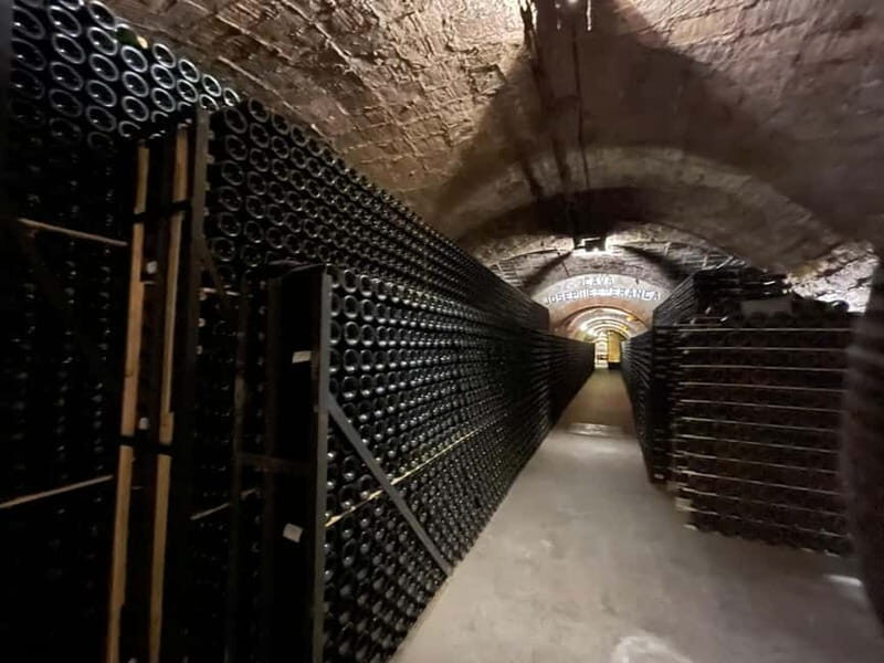 Barcelona: Penedes Wine Tasting Tour with Lunch - Final Thoughts