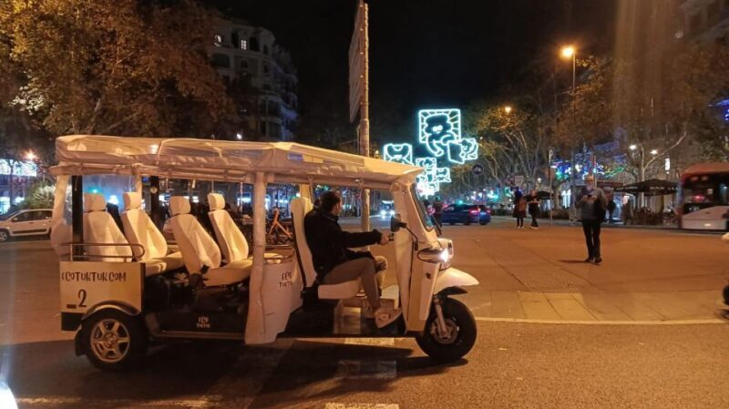 Barcelona: Private Christmas Lights Tour by Eco Tuk Tuk - Pricing and Value