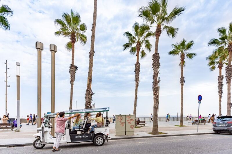 Barcelona: Private City Tour by Eco Tuk Tuk - Detailed Look at the Itinerary