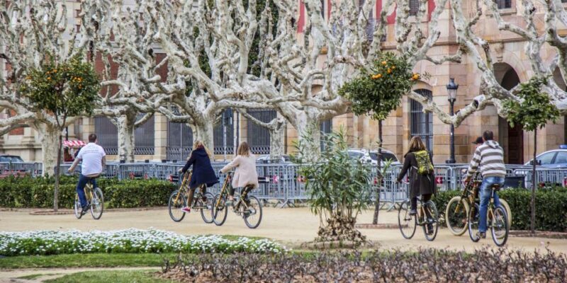 Barcelona: Private Highlights Tour by Bamboo Bicycle - Key Points