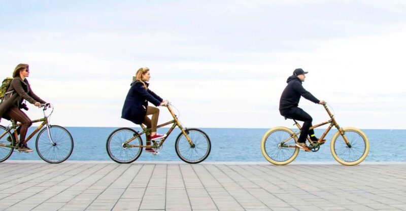 Barcelona: Private Highlights Tour by Bamboo Bicycle - Who Will Love This Tour?