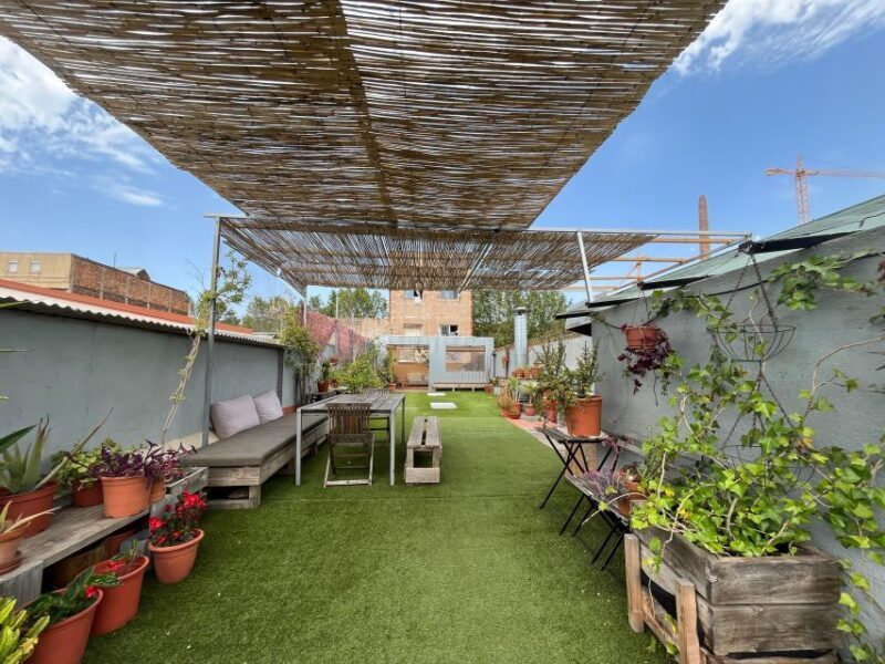 Barcelona: Rooftop Paella Cooking Masterclass - The Sum Up