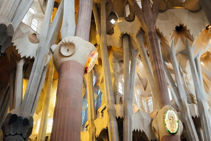 Barcelona: Sagrada Familia Guided Private Tour - What to Expect on the Tour