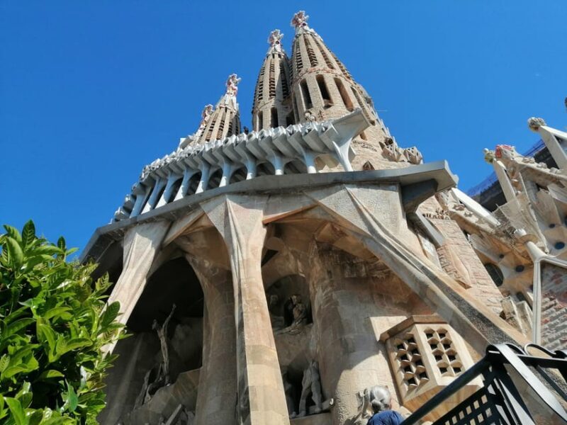 Barcelona: Sagrada Familia Skip-The-Line Guided Tour - Exploring the Sagrada Família: Nature, Art, and Symbolism