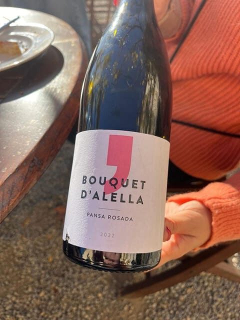 Barcelona: Sailing and Alella Winery Tour with Wine Tasting - Key Points