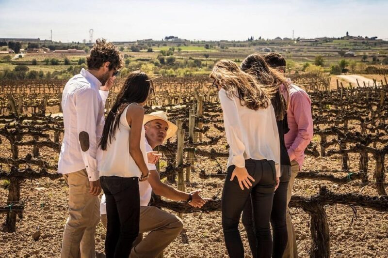 Barcelona: Sailing and Alella Winery Tour with Wine Tasting - An In-Depth Look at the Experience