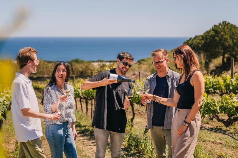 Barcelona: Sailing Cruise & Vineyard Tour with Wine Tasting - Introduction