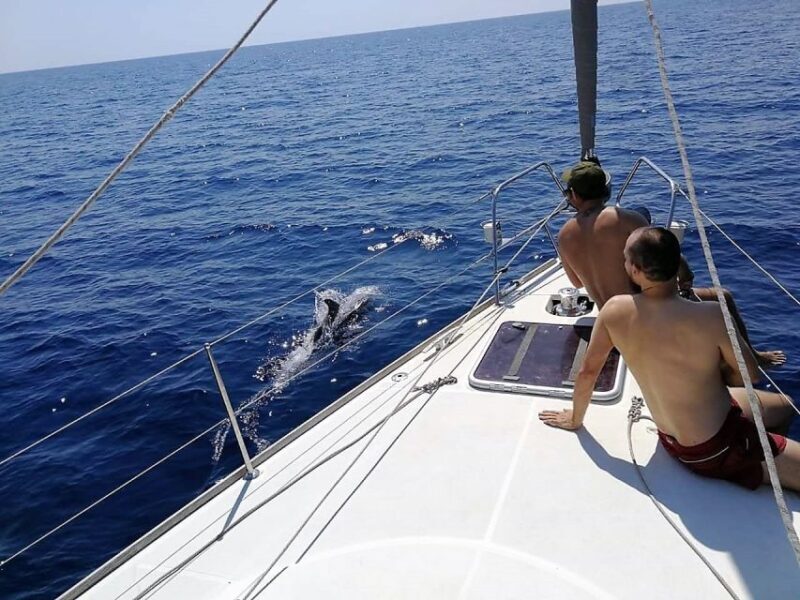 Barcelona: Sailing Trip with Drinks and Snacks - The Experience: What You Can Expect