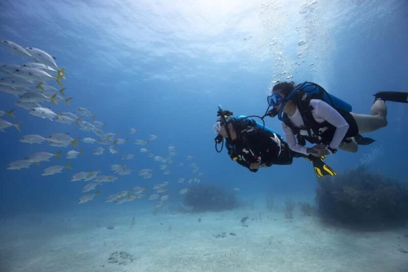 BARCELONA: SCUBA DIVING INITIATION - Dive in and experience underwater adventures - 2 hours - Introduction