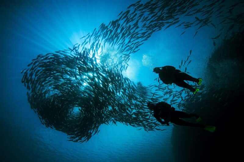 BARCELONA: SCUBA DIVING INITIATION - Dive in and experience underwater adventures - 2 hours - Key Points