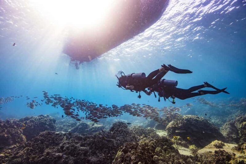 BARCELONA: SCUBA DIVING INITIATION - Dive in and experience underwater adventures - 2 hours - The Value for Money and Overall Impression