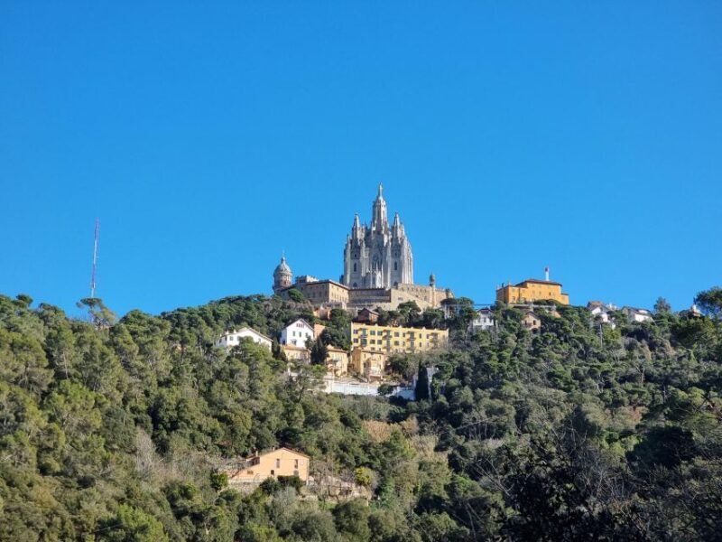 Barcelona Secret Forest: Nature Hike & Best Views - Exploring the Hidden Charm of Barcelona’s Nature and Views