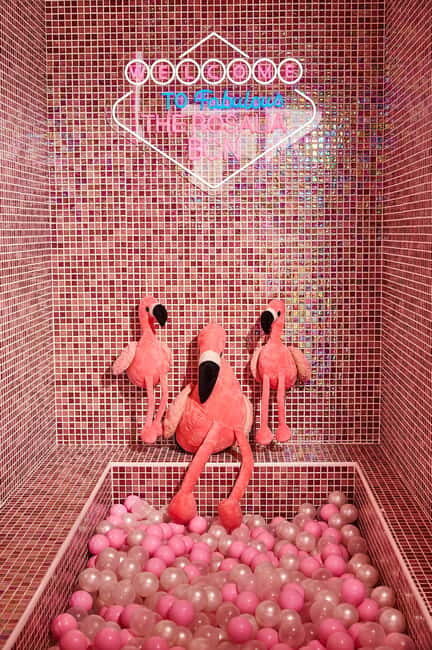 Barcelona: Sensory Dinner Signature Cocktail and Live Show - A Deep Dive into the Experience