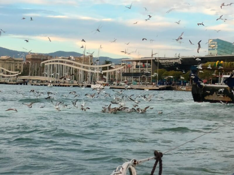 Barcelona: Sunset Cruise with Snacks and Drinks - An In-Depth Look at the Barcelona Sunset Cruise