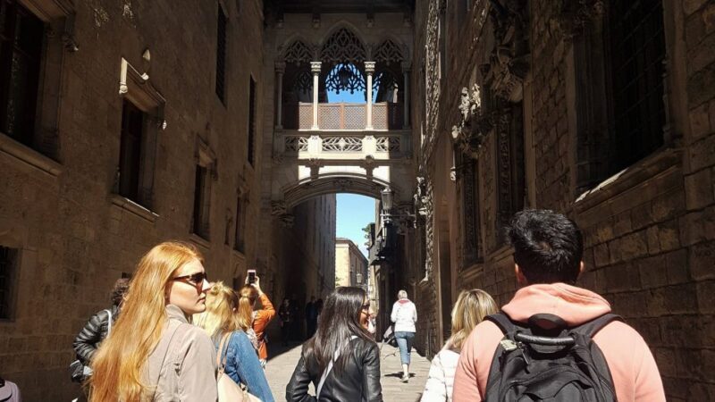 Barcelona: Tapas & Picasso Museum Guided Walking Tour - The Practicalities: What Travelers Need to Know