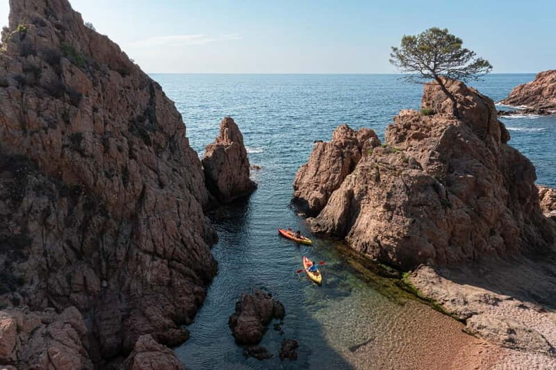 Barcelona: Tossa de Mar Day Tour - Is It Worth the Cost?