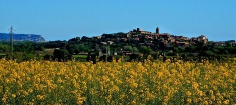 Barcelona: Tour Besalu, Peratallada and pals - What to Expect on the Tour: A Deeper Dive