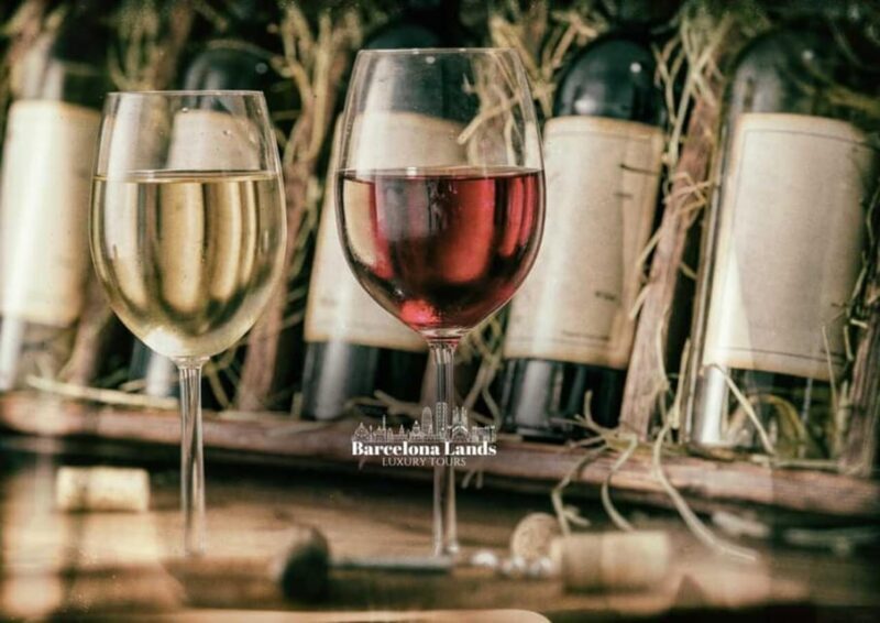 Barcelona: Tour Luxury for Priorat, Wine tasting & Lunch - Who Will Love This Tour?
