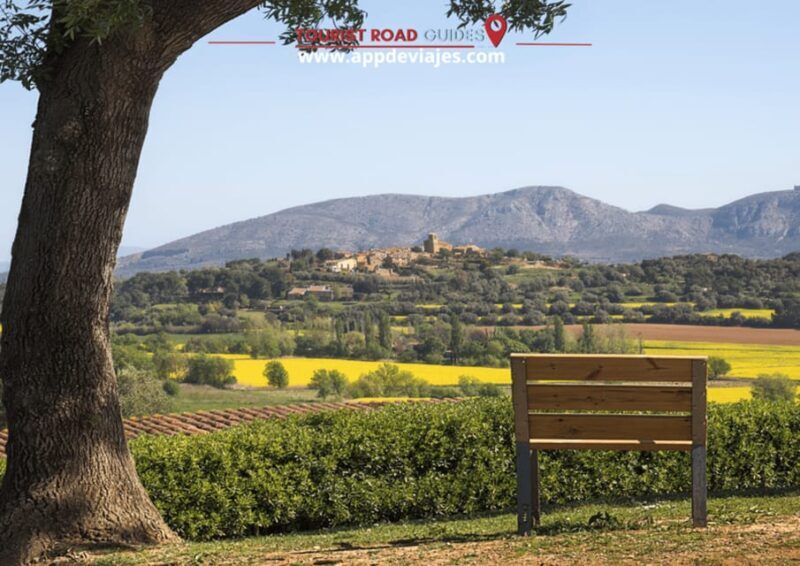 Barcelona: Tour Private Besalu, Dalí & Wine Tasting - Key Points