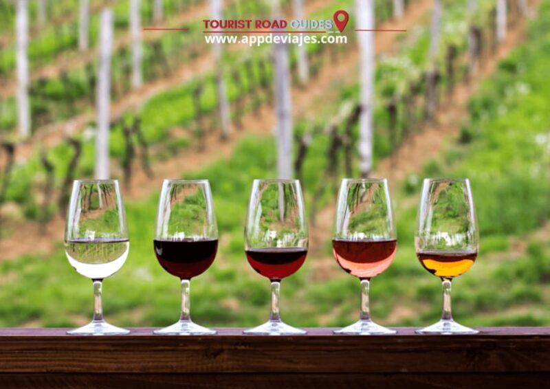 Barcelona: Tour Private Besalu, Dalí & Wine Tasting - An In-Depth Look at the Tour