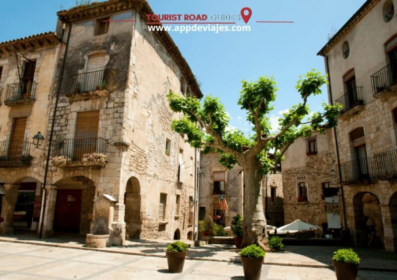 Barcelona: Tour Private Besalu, Dalí & Wine Tasting - Who Should Consider This Tour?