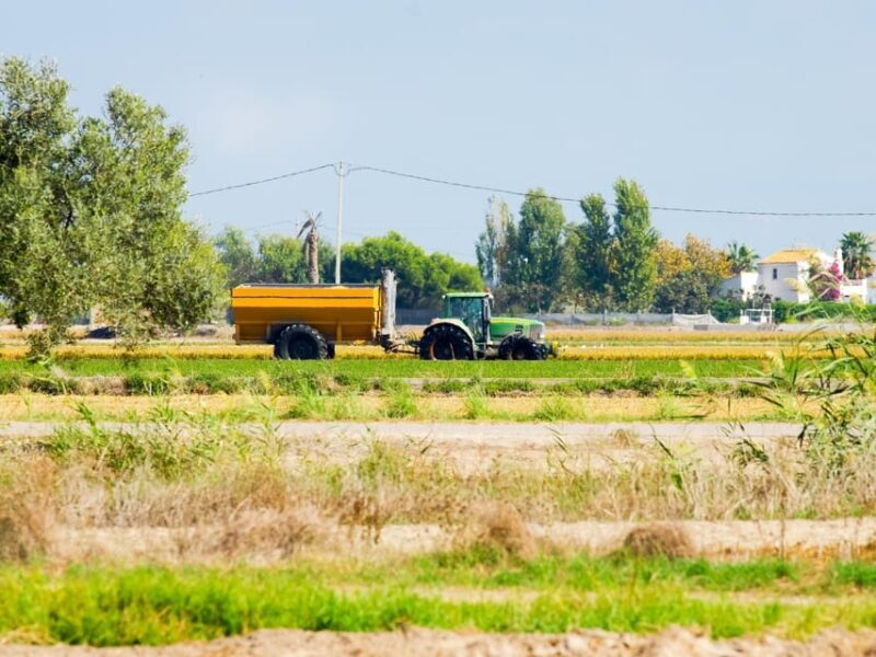 Barcelona: Tuna Baths in the Ebro Delta Route and Olive Tree Tour - FAQs