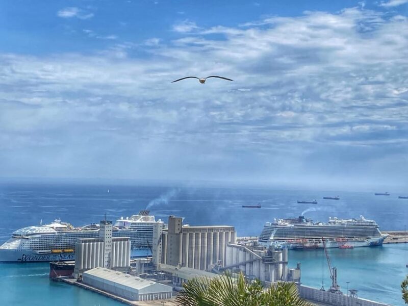Barcelona: VIP Tailor-Made Tour with Private Guide - Why Choose a VIP, Tailor-Made Tour?