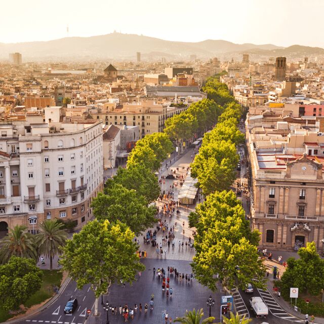 Barcelona: walking tour of the Gothic Quarter and boat ride - Final Thoughts: Is This Tour Right for You?