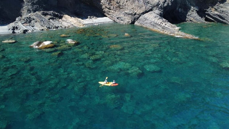 Barcelona Wild Experience: Kayak & Snorkel in Costa Brava - Key Points