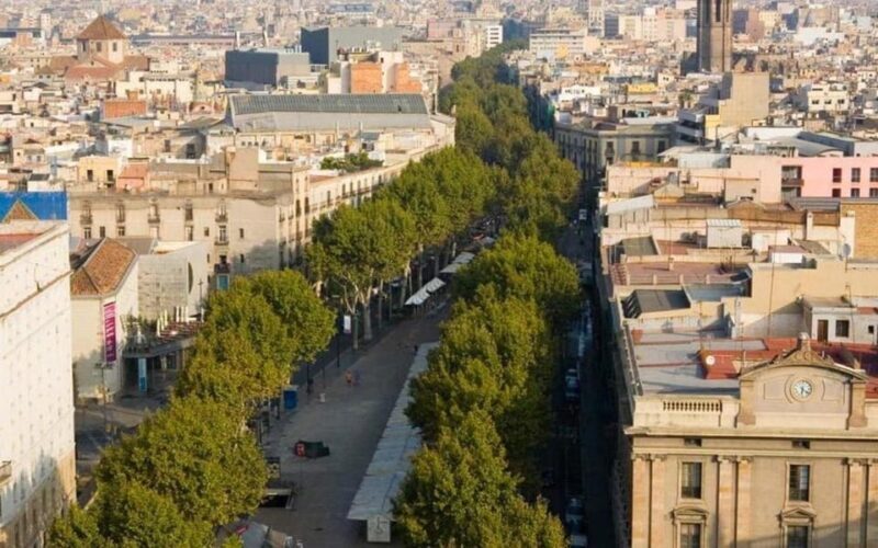Barcelona:Private Full-Day Sightseeing Tour with Local Guide - Final Thoughts