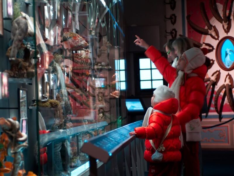 Bard: Fort Exhibitions and Museums Entry Ticket with Lunch - Who Will Love This Experience?