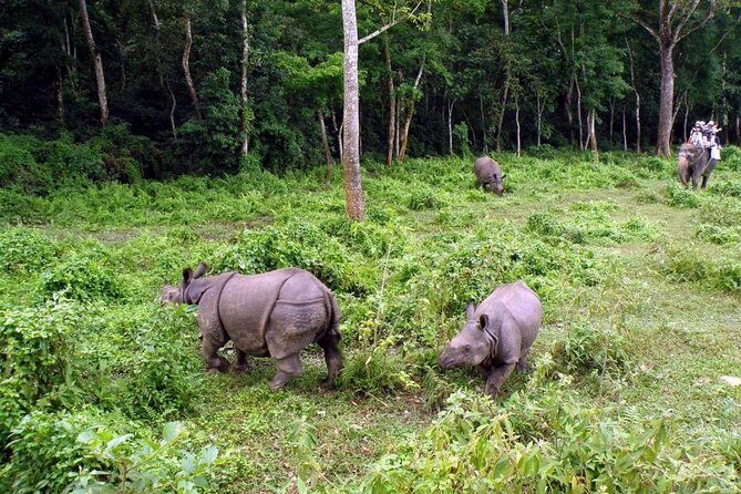 Bardia National Park Tour - Exploring Bardia National Park: An In-Depth Look