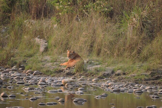 Bardia Tiger Tracking Tour 5 Nights 6 Days Full Package - The Detailed Breakdown of the Bardia Tiger Tracking Tour