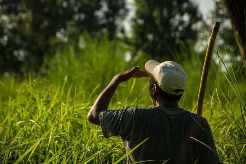 Bardiya National Park: Treehouse Stay with Wildlife Safari - Key Points
