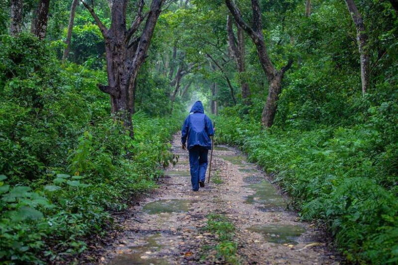 Bardiya National Park: Treehouse Stay with Wildlife Safari - Introduction
