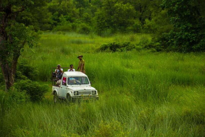 Bardiya National Park: Treehouse Stay with Wildlife Safari - Accommodation: The Treehouse Experience