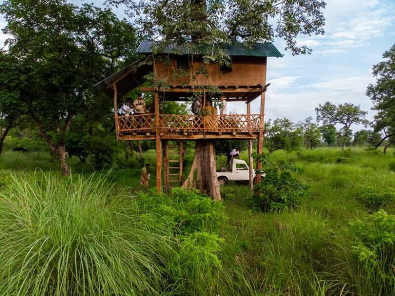 Bardiya National Park: Treehouse Stay with Wildlife Safari - Practical Details: Transportation and Schedule
