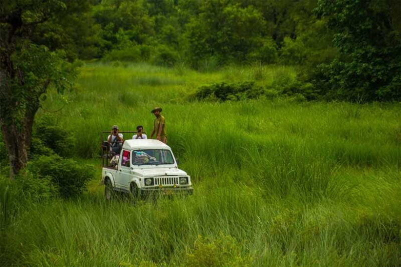 Bardiya National Park: Treehouse Stay with Wildlife Safari - Who Should Consider This Tour?