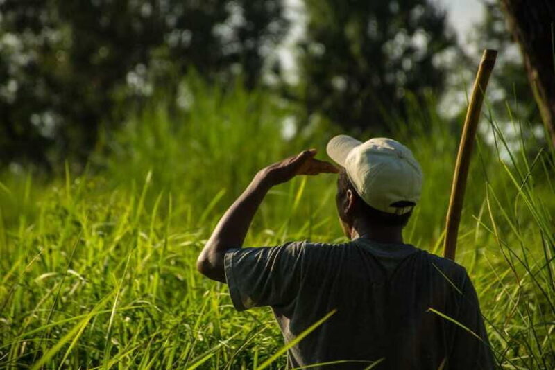 Bardiya National Park: Treehouse Stay with Wildlife Safari - The Sum Up